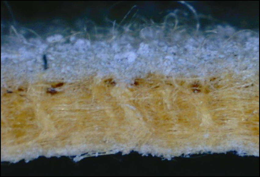 How Microphotography Can Improve Baghouse Performance - Micronics