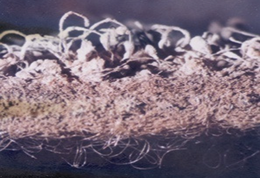 How Microphotography Can Improve Baghouse Performance - Micronics